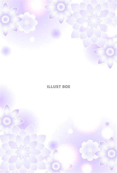 無料イラスト 白い花のカード