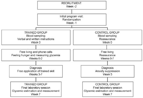 Investigation Design A Randomized And Controlled 7 Week Pilot Clinical