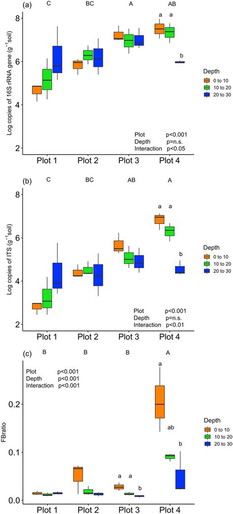 Gene Abundances Of A Bacteria And Archaea B Fungi And C The
