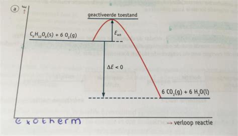 Exotherme Voorbeelden