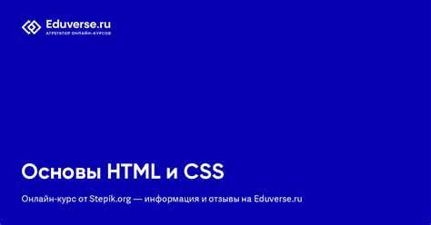 Отзывы о курсе Основы html и css от eduverse