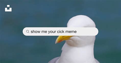 show me your cick meme pictures download free images on unsplash