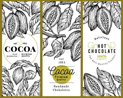 Cocoa Bean Tree Banner Template Set Chocolate Cocoa Beans Background Vector Hand Drawn