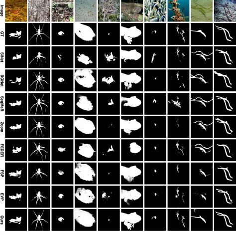 Figure 5 From A Simple Yet Effective Network Based On Vision Transformer For Camouflaged Object