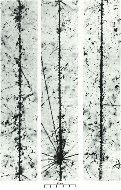 Cloudylabs Collisions Of Heavy Particles