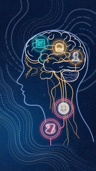 Free Minds Glowing Pathways Image Brain Neural Sensory Download