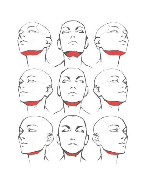 Head Angle Drawing Reference