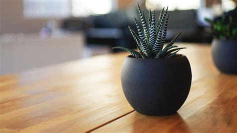 Testing The Jakarta Ee Core Profile With Atbash Runtime Rjava