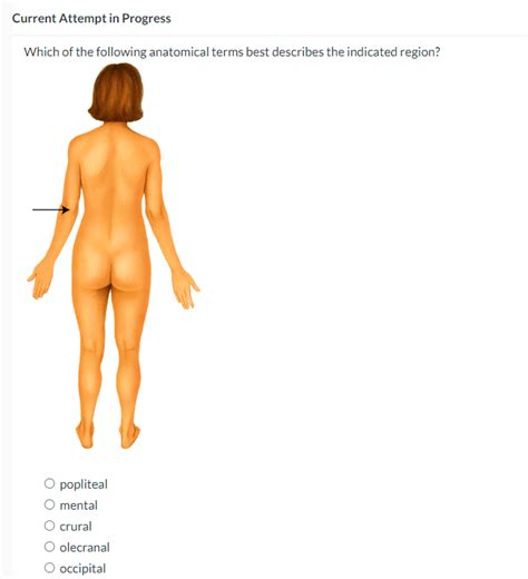 Solved Current Attempt In Progresswhich Of The Following
