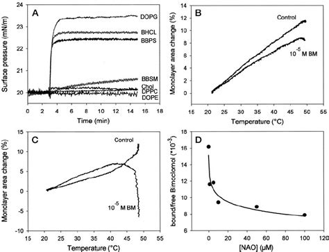 Interaction Of Bm And Its Structural Analogues With Lipids A