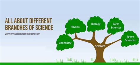 All About Different Branches Of Science Branches Of Science Science