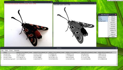 Naive Bayes Clustering Empirical Imaging