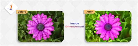 Mastering Image Processing Techniques Applications And Machine Learning Integration