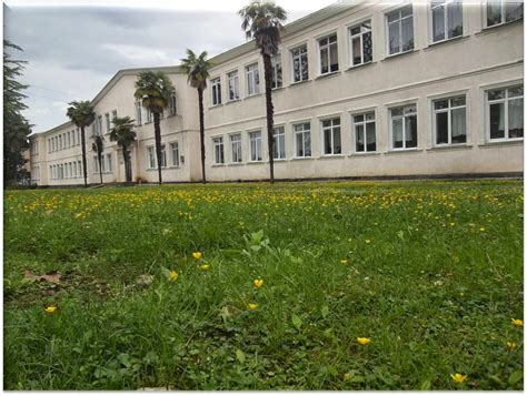 მასწავლებლის პორტფოლიო