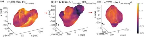 Spatially Resolved Strain Evolution A Distribution Of Strain In The Download Scientific