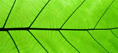 Airspeed Read Caa Consultation On Consumer Environmental Information