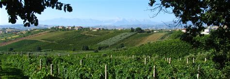 Abruzzo Denominations Introduce Subzones Italian Wine Central