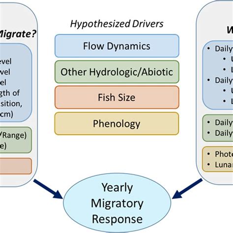 Conceptual And Analytical Framework To Investigate The Environmental Download Scientific