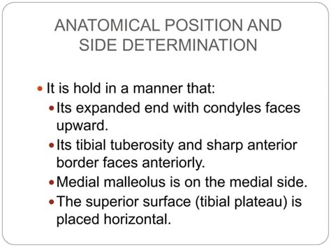 Fracture Shaft Of Tibia Pptx