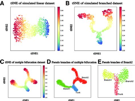 Visualization By Tsne Projection For The Simulated Linear Branched And