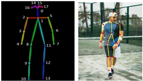 Figure 1 From Comparative Analysis Of Human Pose Estimation Methods With Fall Detection And