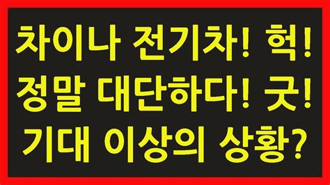 차이나 전기차 Solactive 주가 전망 타이거 Tiger Etf 레버리지 중국 2차전지 배터리 주식 장기 투자 장투 단타 구성 종목 정말로 대단하다 Youtube