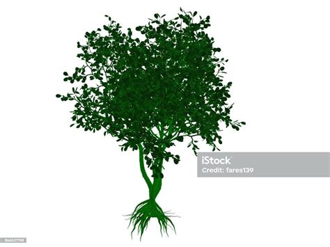 흰색 배경에 고립 된 녹색 가장자리와 개요 검은 나무의 3d 렌더링 0명에 대한 스톡 사진 및 기타 이미지 0명 공학 관목 Istock