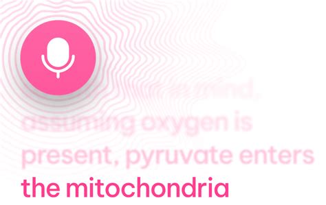 Transcript Lecture Listen