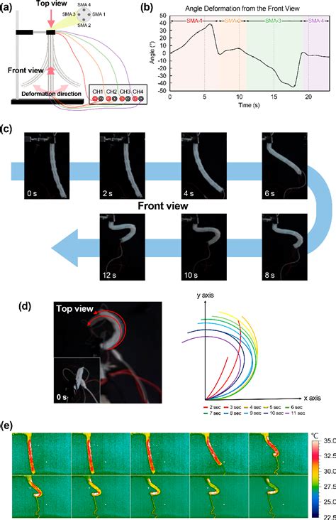 figure 6 from a shape memory alloy based soft actuator mimicking an