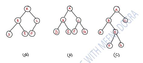 Datastructures Treedatastructure Binarytree Typesofbinarytrees Dsa