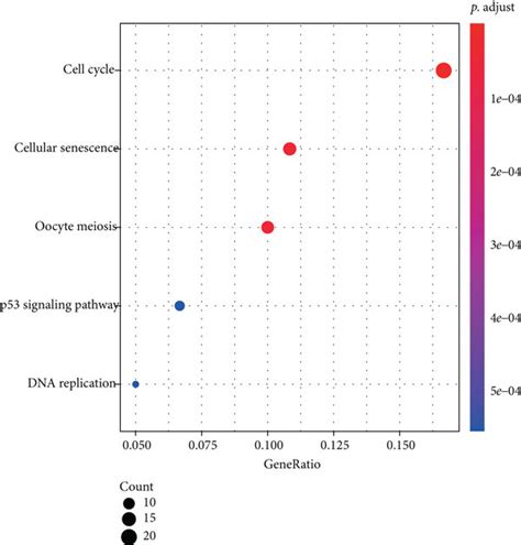 gene ontology enrichment and kegg pathway enrichment analysis on the