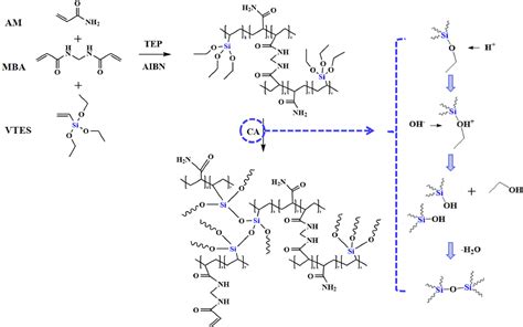 Figure 1 From Hydrophilic Modification Of Polytetrafluoroethylene Ptfe