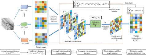 figure 1 from structure suture learning based robust multiview