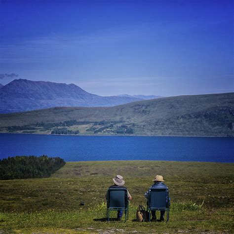 Taking In The View Photograph By Allan Todd Pixels