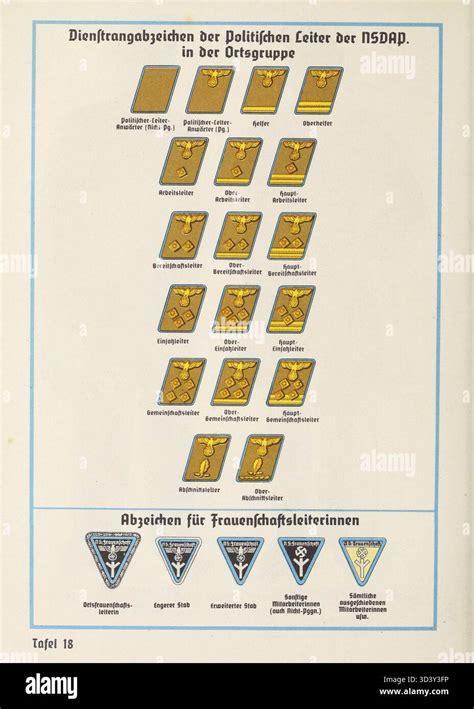 Illustrations From The 1943 Organisationsbuch Der Nsdap Showing Rank