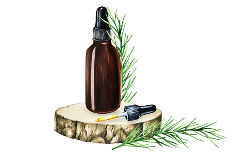 수채화 물감 혈청 병 흰색 배경에 분리된 나무 톱에 피펫이 있는 크림 미용 제품 및 식물학 요소 미용 및 의학 디자이너 스파 장식 엽서 포장지 스크랩북 표지 초대장 P 건강