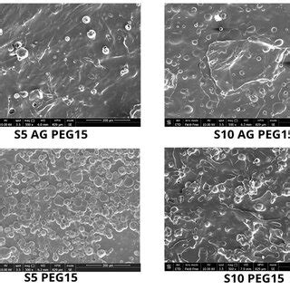 SEM Micrographs Representative Of Each Investigated Sample Download Scientific Diagram