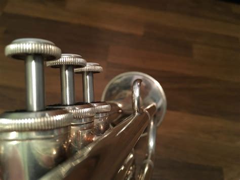 Trumpets Interesting Facts And More Inside The Mind Of Emily J