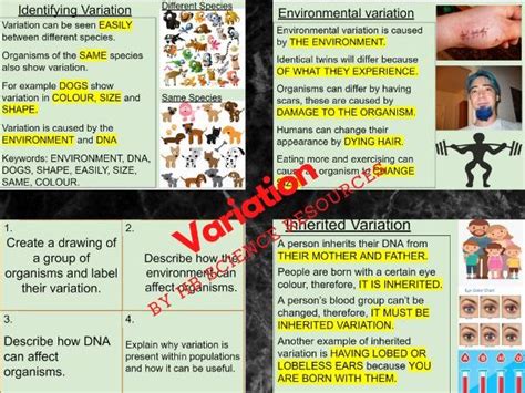 Variation Ks3 Teaching Resources