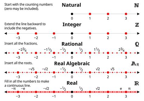 Real Number Line Natural Number Complex Numbers Number Theory