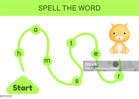 아이들을위한 미로 맞춤법 단어 게임 템플릿 햄스터 인쇄 가능한 워크시트를 읽는 법을 배웁니다 영어 공부를 위한 액티비티 페이지