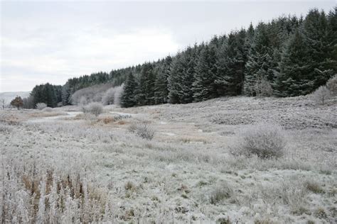A Frosted Pond In The Forest © James T M Towill Cc By Sa 2 0 Geograph Britain And Ireland