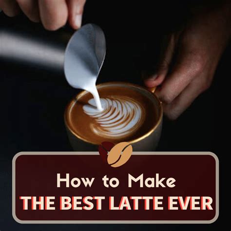 What Is A Latte Your Guide To The Most Popular Coffee Drink