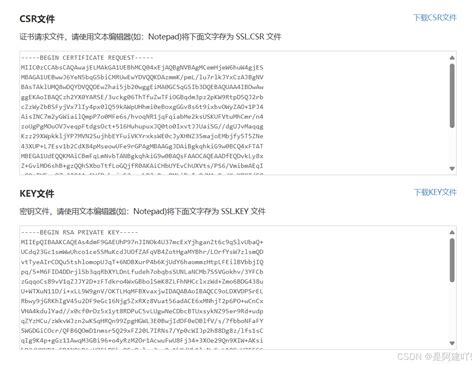 【linux 网络】应用层（） Csdn博客