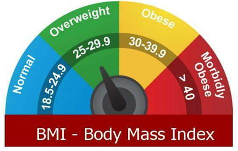 How To Calculate Bmi A Comprehensive Guide For Quick Results How To Calculate Bmi A Comprehensive Guide For Quick Results
