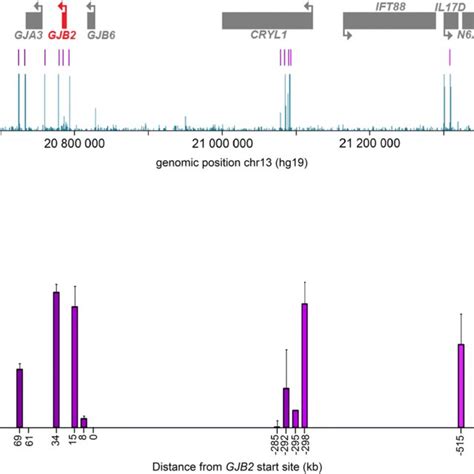 analysis of ctcf binding a alignment of ctcf binding sites from saec
