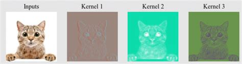 Orthogonal Outputs Generated By Principal Kernels W I Different