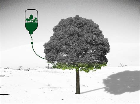 Sick Tree Images HD Pictures For Free Vectors Download Lovepik Com