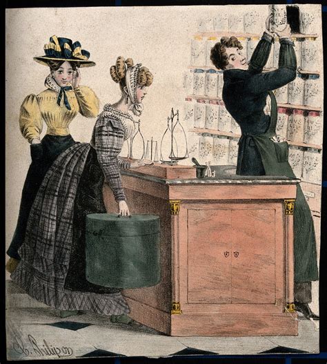 The History Of The Apothecary Past And Present Willow And Birch Apothecary