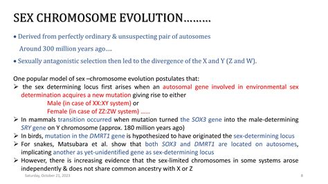Sex Chromosomes Evolutionpptx